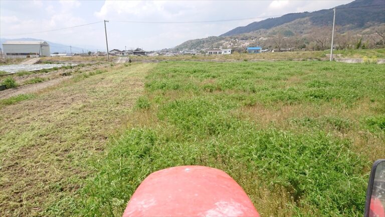 「ばれいしょ」とは？じゃがいもとの違いや意味を農家がわかりやすく解説 | UKA農園作業日誌